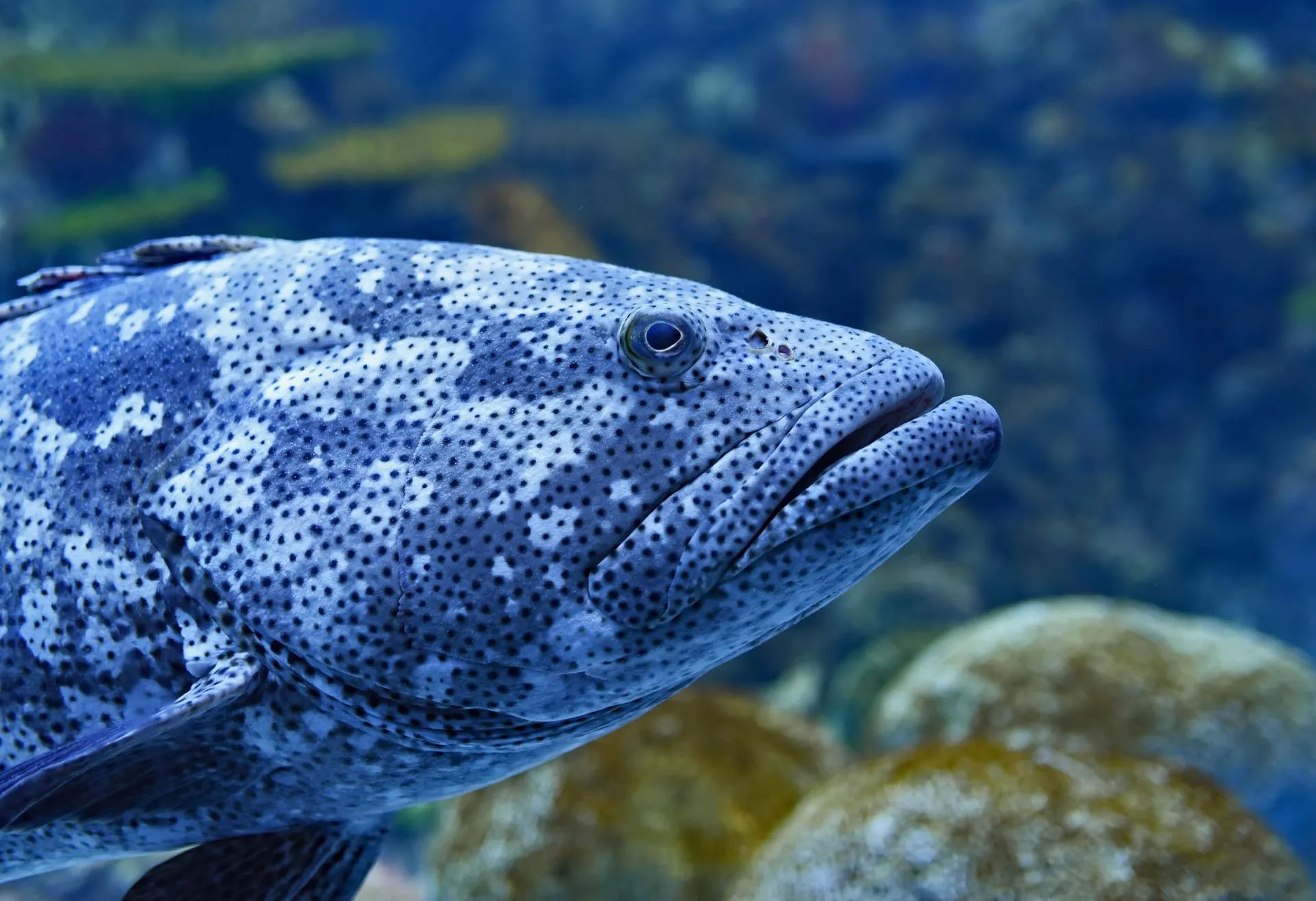 What's the Best Season for Fishing the Keys? | Zoned In Charters
