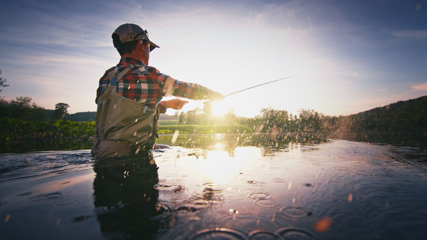 Types of Fish You Catch Via Fly Fishing